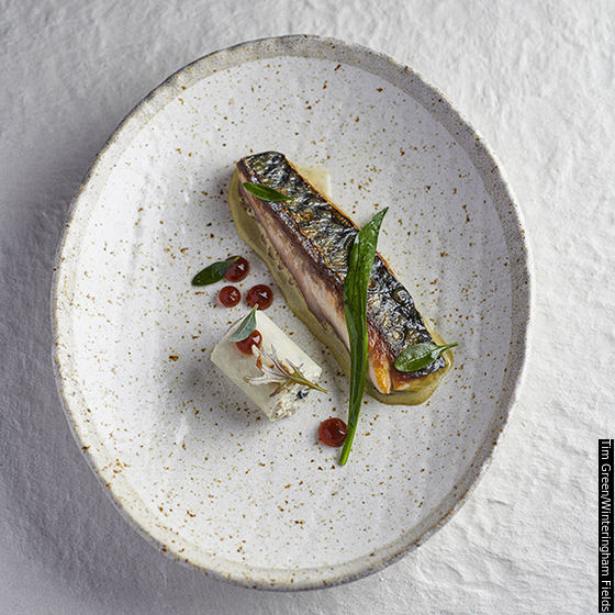 Winteringham Fields – Winteringham - a MICHELIN Guide Restaurant