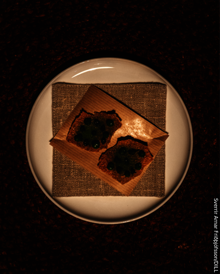 DILL – Reykjavík - a MICHELIN Guide Restaurant