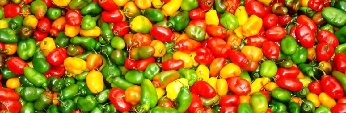 A Foodie's Guide to Peruvian Chillies