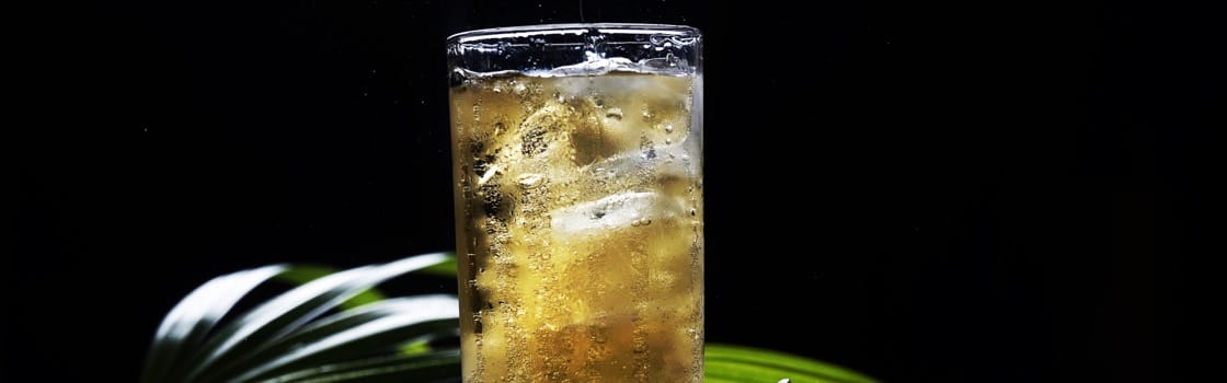 Whisky Highball: A Cocktail That No Longer Belongs In Dive Bars