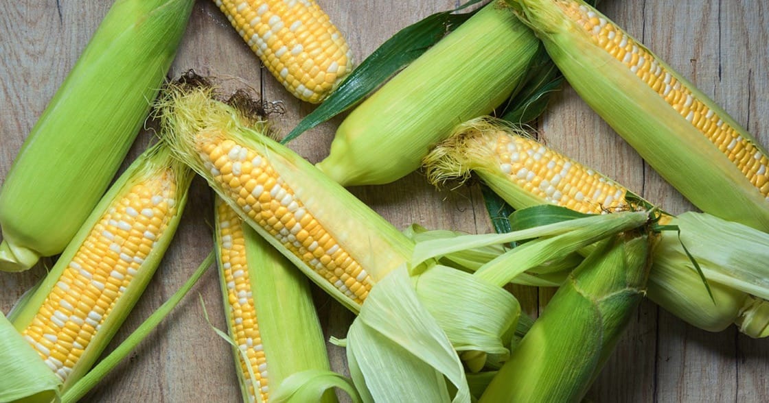 Ingredient Spotlight: Corn