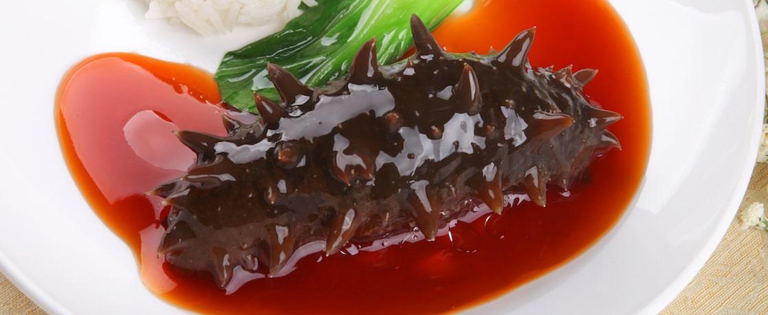 All About Sea Cucumbers