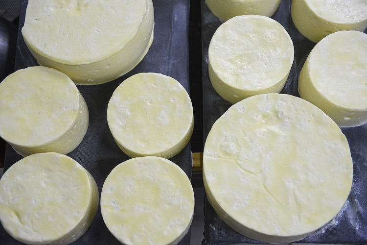 The culinary treasures of Serbia: traditional ingredients and ...