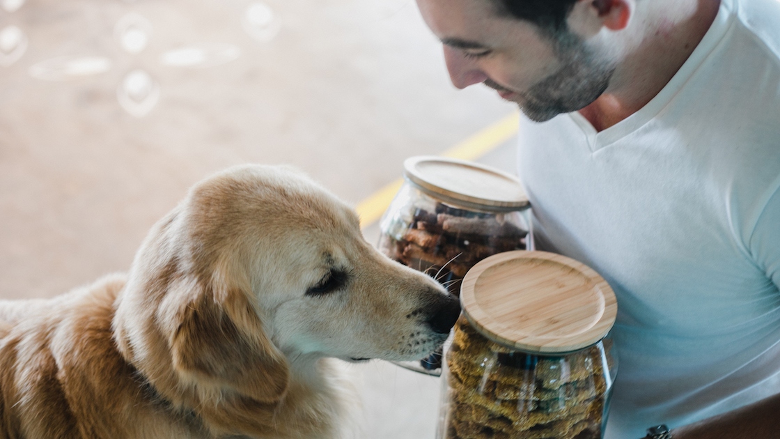 A Chef and His Dog: Marguerite’s Michael Wilson and His Dog Milo