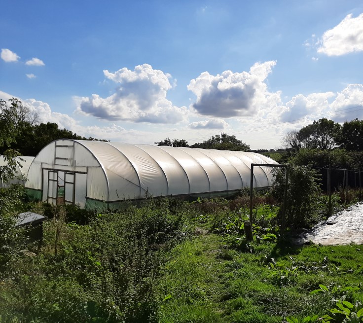 Green Star Focus: Crocadon, St Mellion, Cornwall