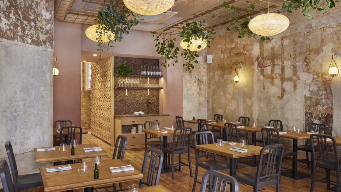 Green Star Focus: Apricity, London