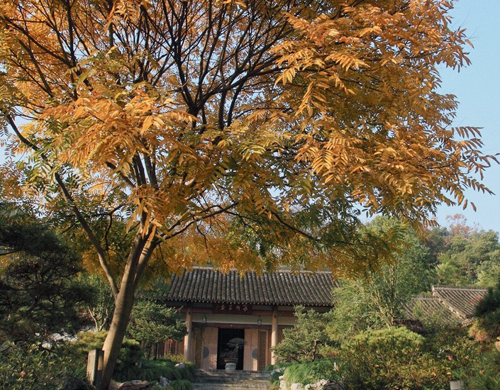 MICHELIN Restaurants with Great Views in 5 Cities in China - The ...