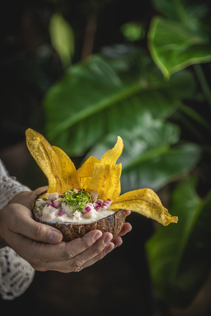 New MICHELIN Star Restaurants Shine in The MICHELIN Guide Rio de ...