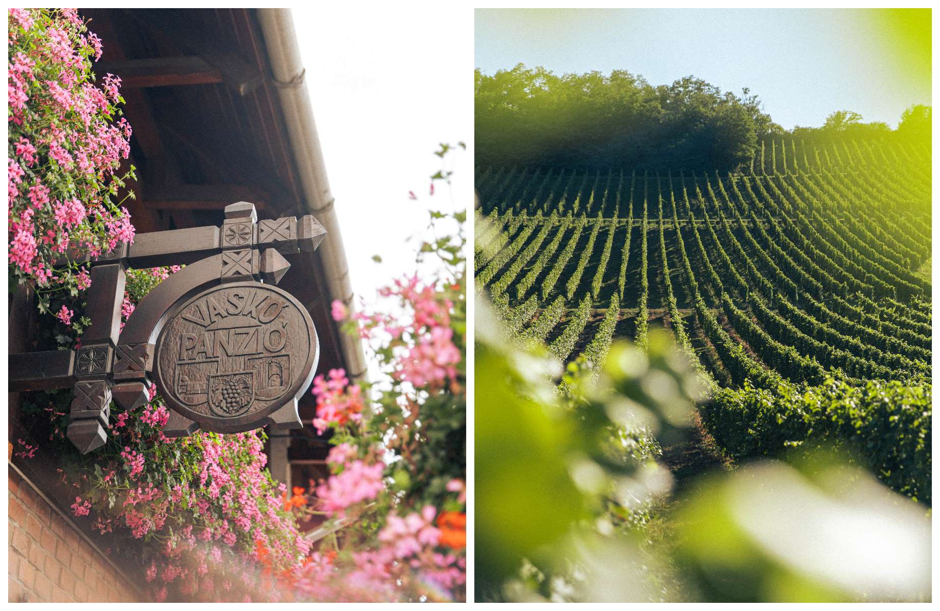 The Tokaj Cellars That Have Made Hungarian Aszú Wines World-Famous
