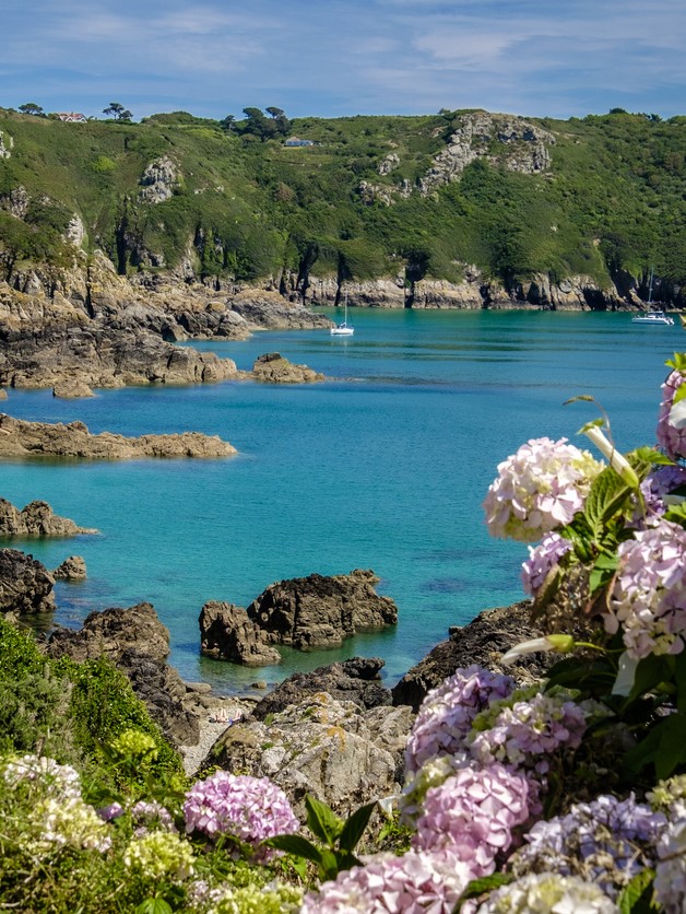 Food & travel best-of guides – The MICHELIN Guide